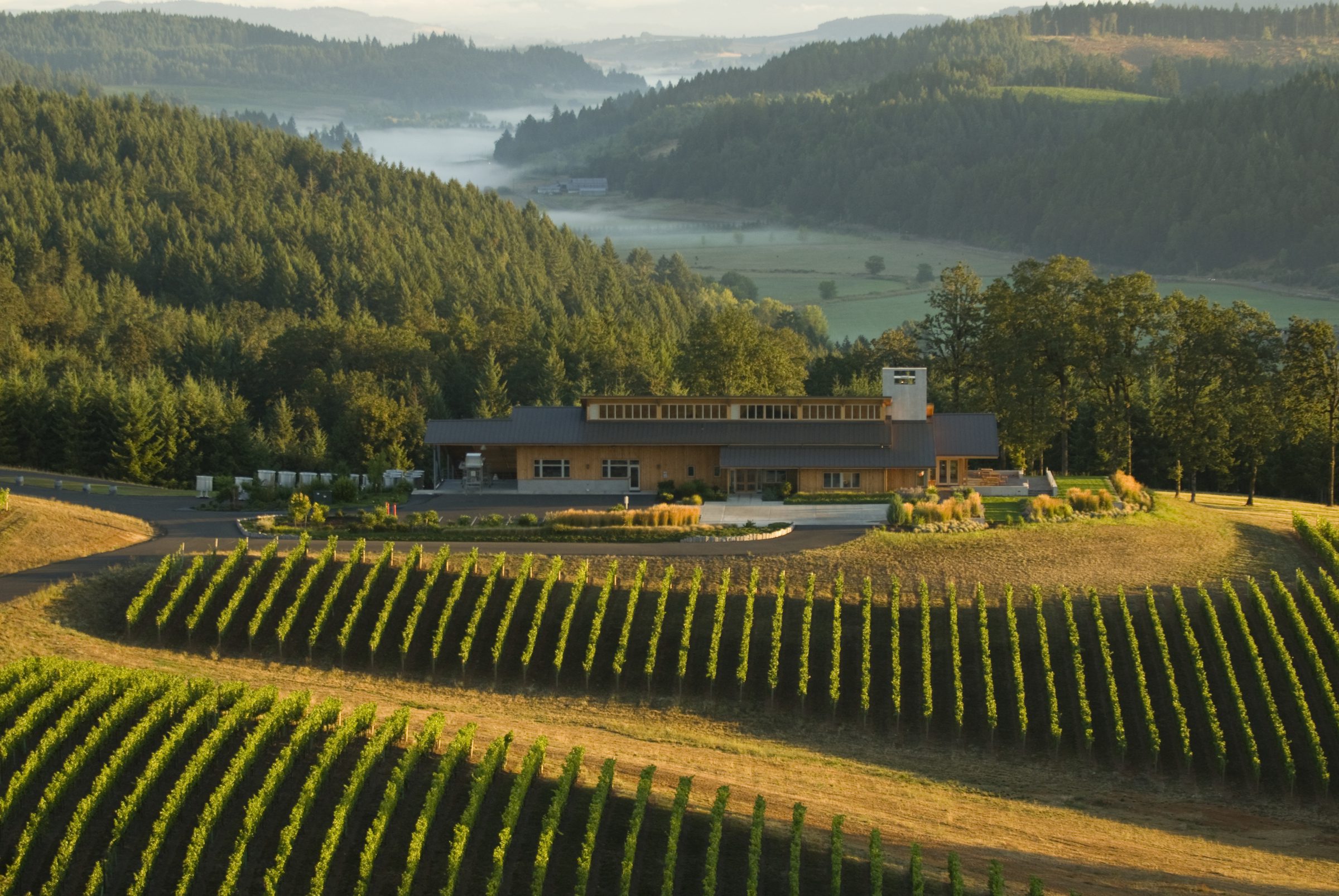 A Guide to Oregon Wine - Imbibe Magazine
