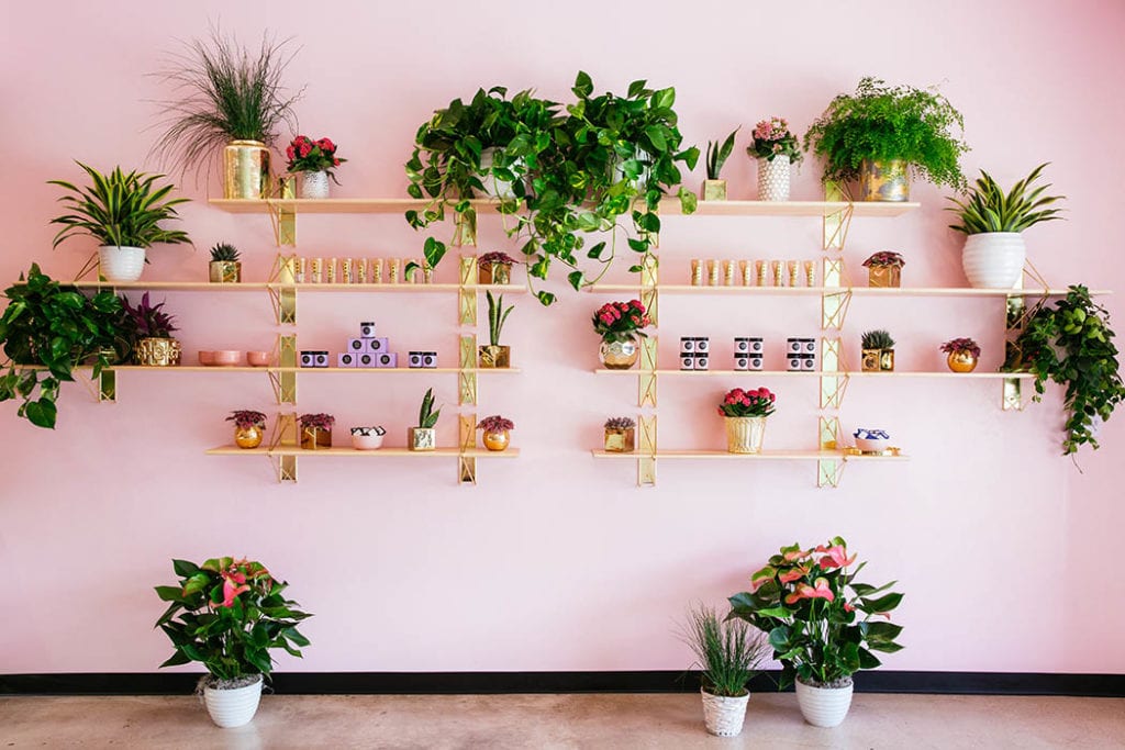 Inside Look: Holy Matcha, San Diego - Imbibe Magazine