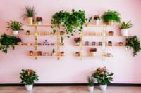 Inside Look: Holy Matcha, San Diego - Imbibe Magazine