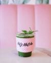 Inside Look: Holy Matcha, San Diego - Imbibe Magazine