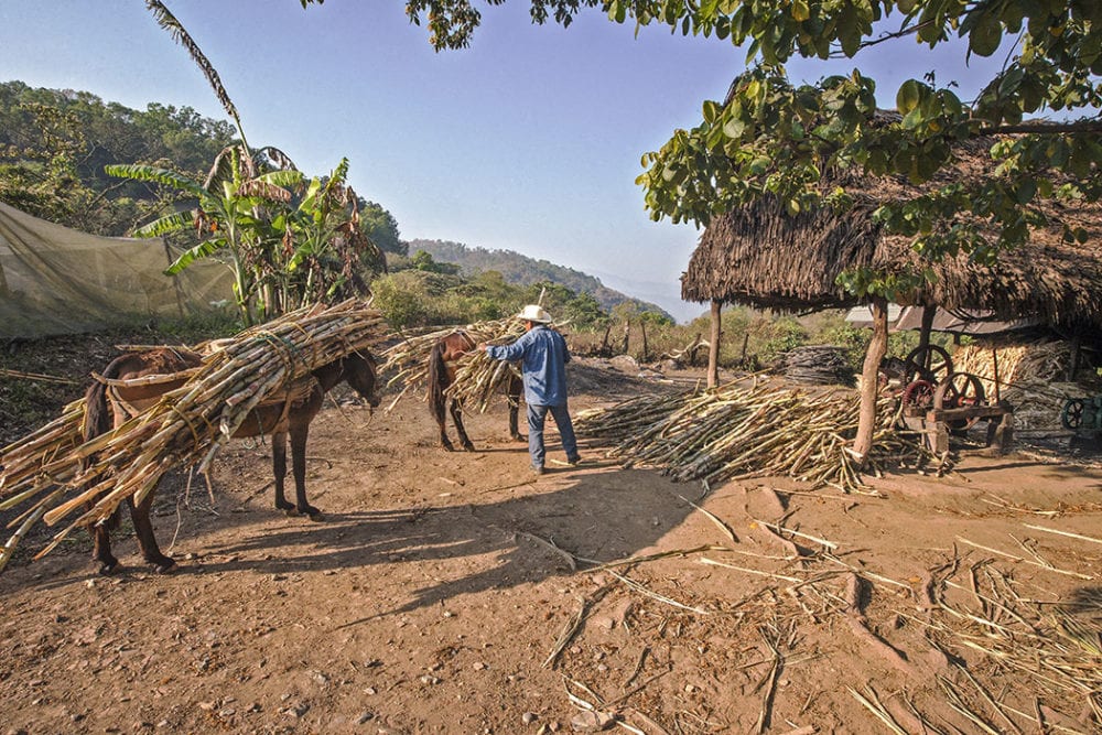 Paranubes Brings A Taste of Oaxacan Rum to America - Imbibe Magazine