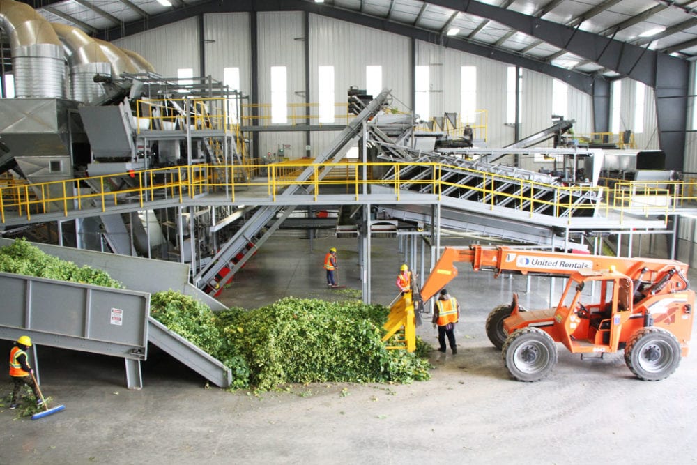 The Magic of Hop Harvest - Imbibe Magazine