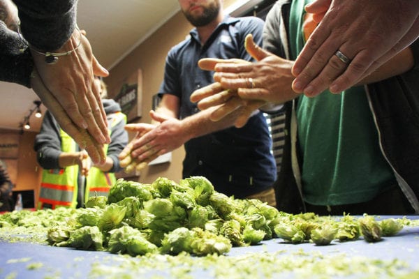 The Magic of Hop Harvest - Imbibe Magazine