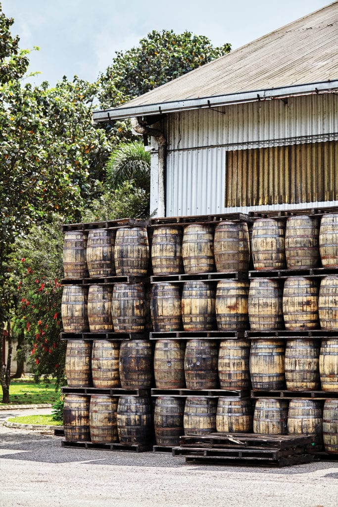 The Wild Diversity of Jamaican Rum - Imbibe Magazine