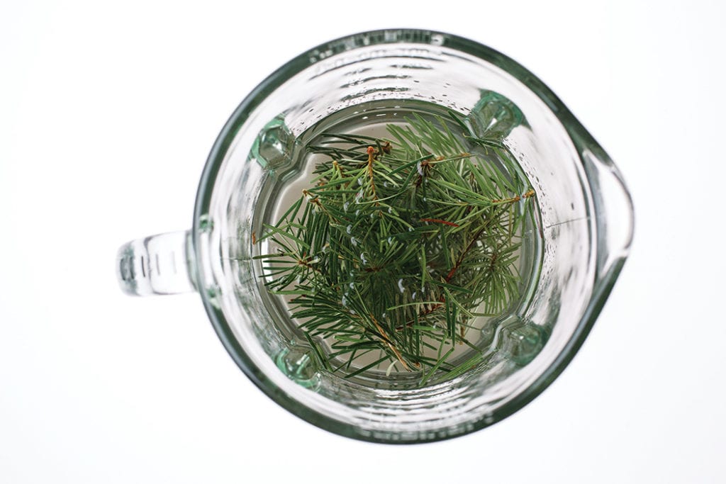 DIY Douglas Fir Liqueur - Imbibe Magazine