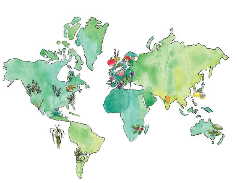 Tracing the Global Diaspora of Gin - Imbibe Magazine