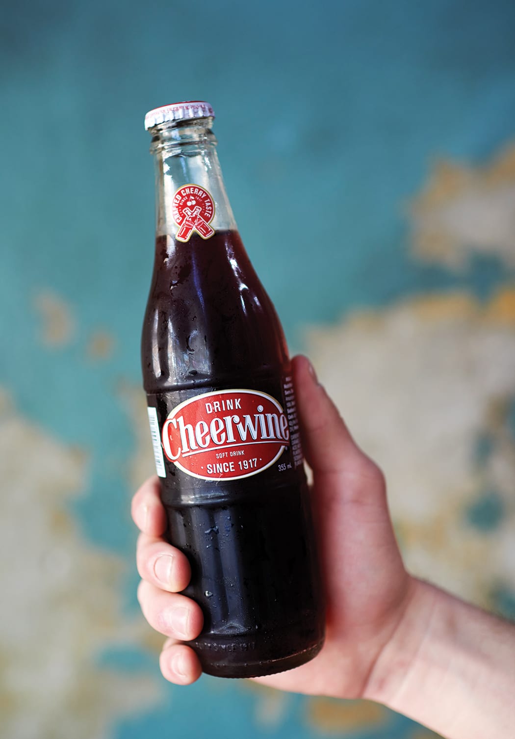 What Put the Cheer in Cheerwine? - Imbibe Magazine