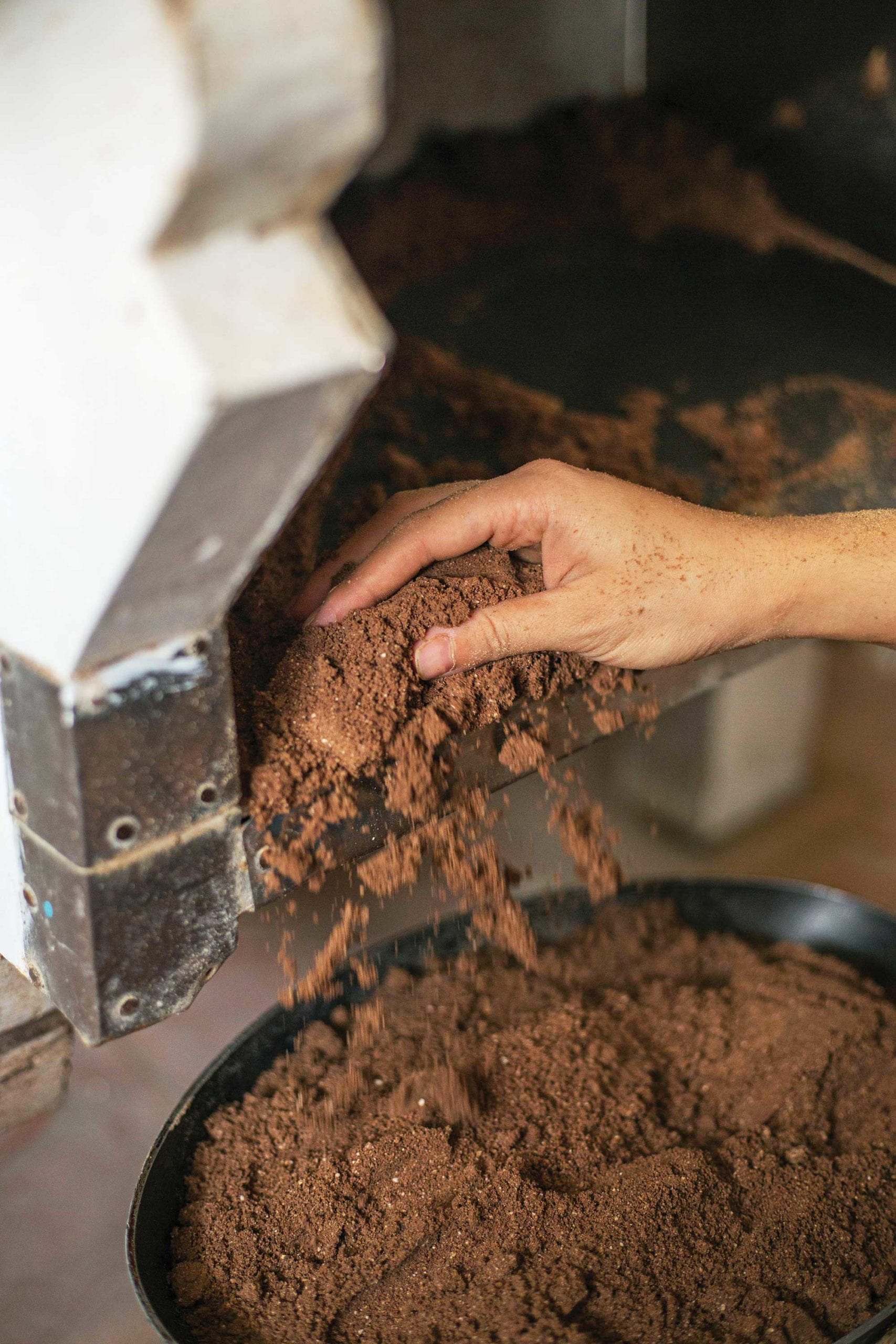 Exploring the Origins of the Chocolate We Drink (and Eat) - Imbibe Magazine