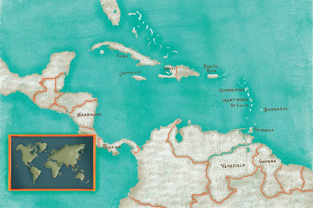 A Guide to Global Rum Styles - Imbibe Magazine