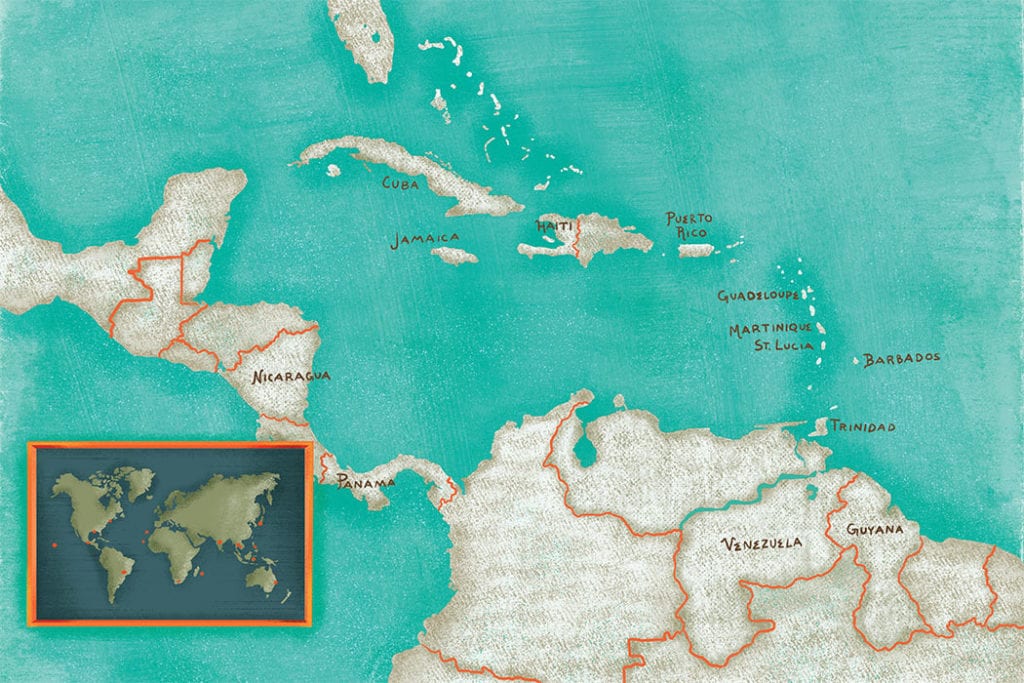 A Guide to Global Rum Styles - Imbibe Magazine