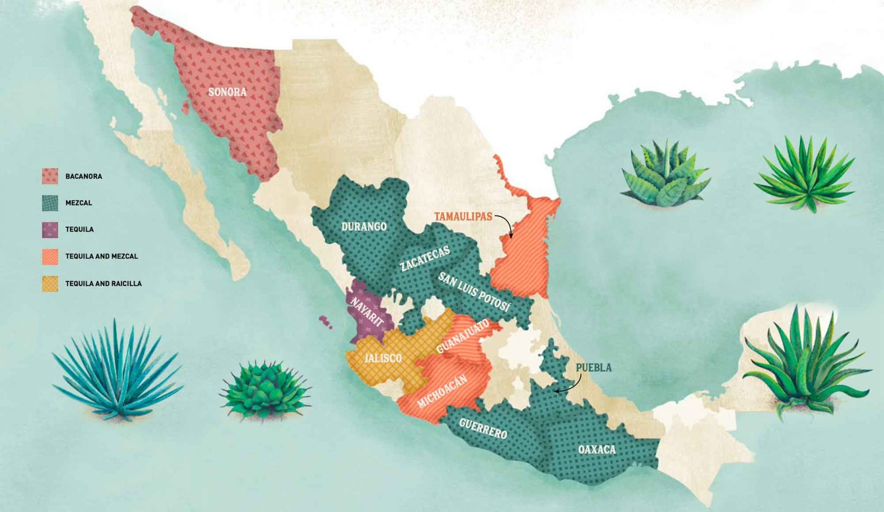 A Beginner S Guide To Agave Spirits Imbibe Magazine