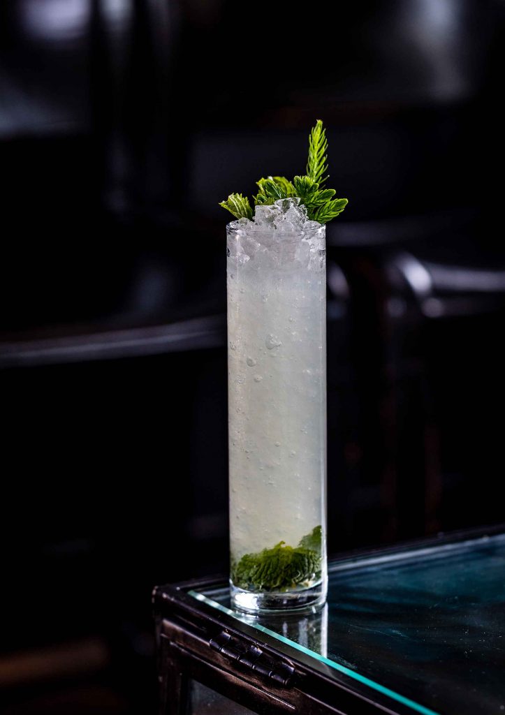 Tree Pose - Imbibe Magazine