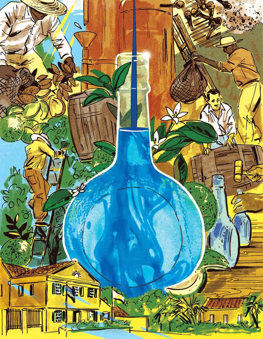 The Little-Known History of Curaçao Liqueur - Imbibe Magazine