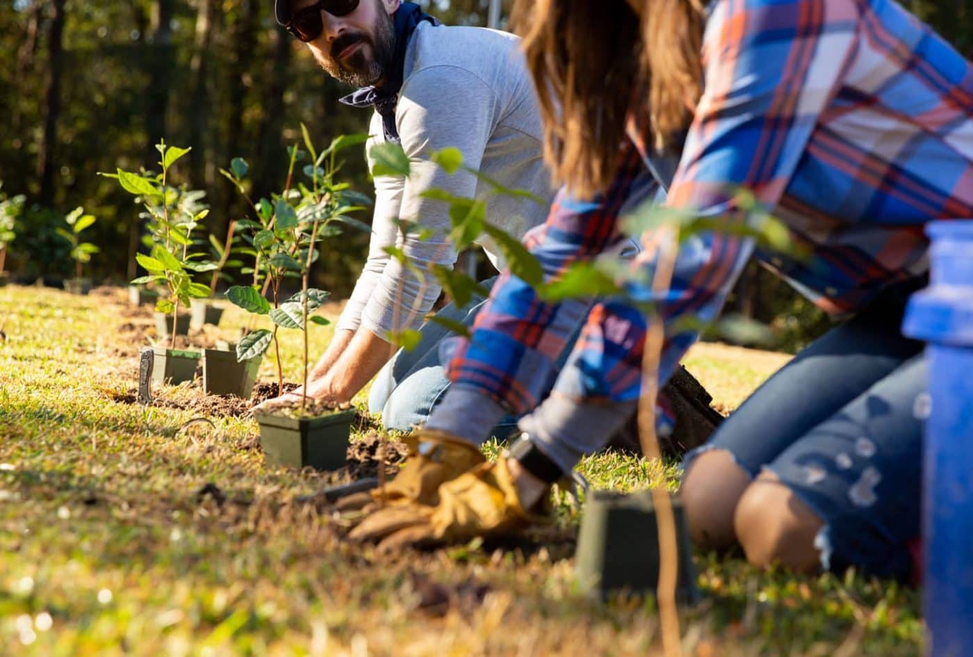 Longleaf Tea Co. Imbibe 75 Place to Watch - Imbibe Magazine