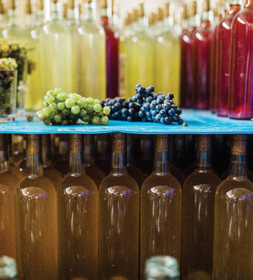 Mexican Wine Is Shifting From Novelty to Mainstay - Imbibe Magazine