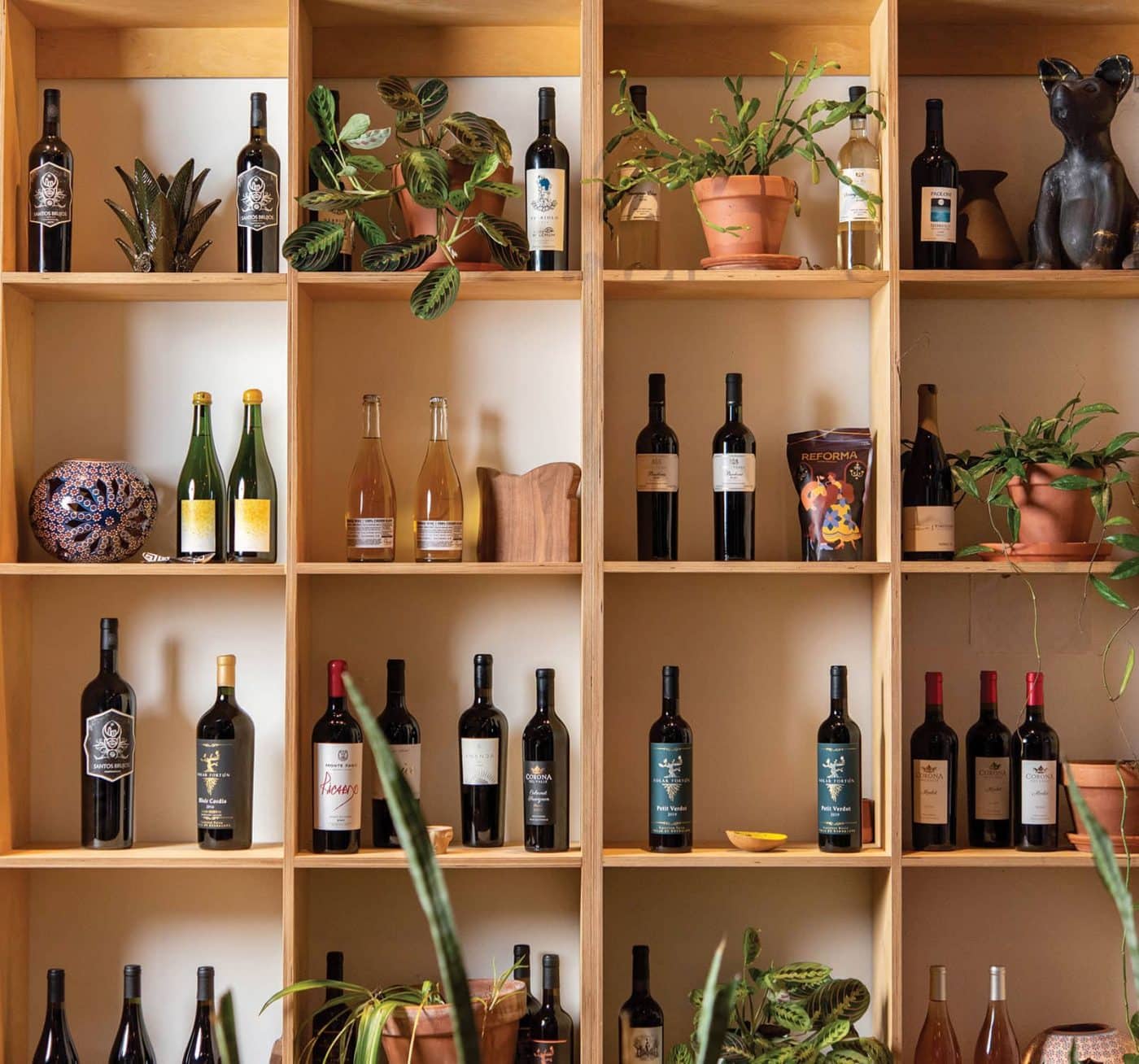 Mexican Wine Is Shifting From Novelty to Mainstay - Imbibe Magazine