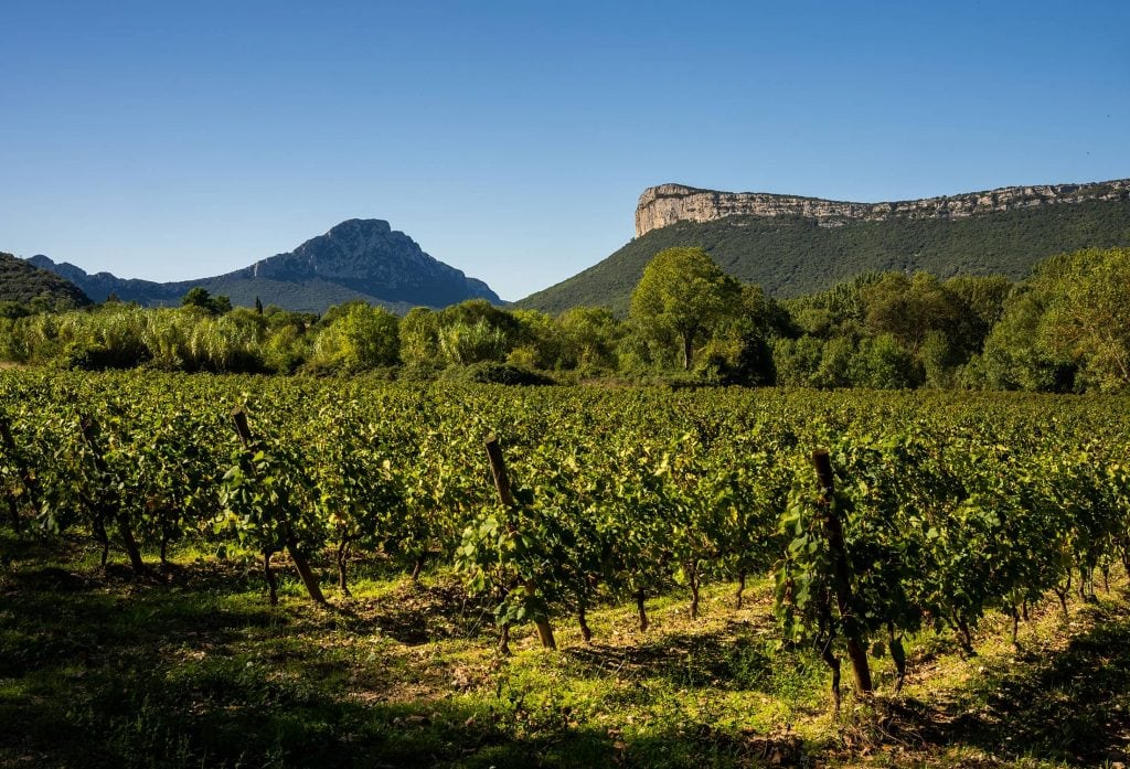 Languedoc Wines Drinks Atlas - Imbibe Magazine