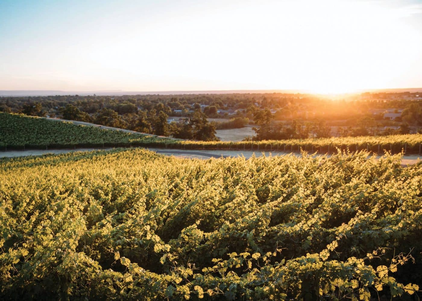 Where to Drink in Walla Walla, Washington - Imbibe Magazine