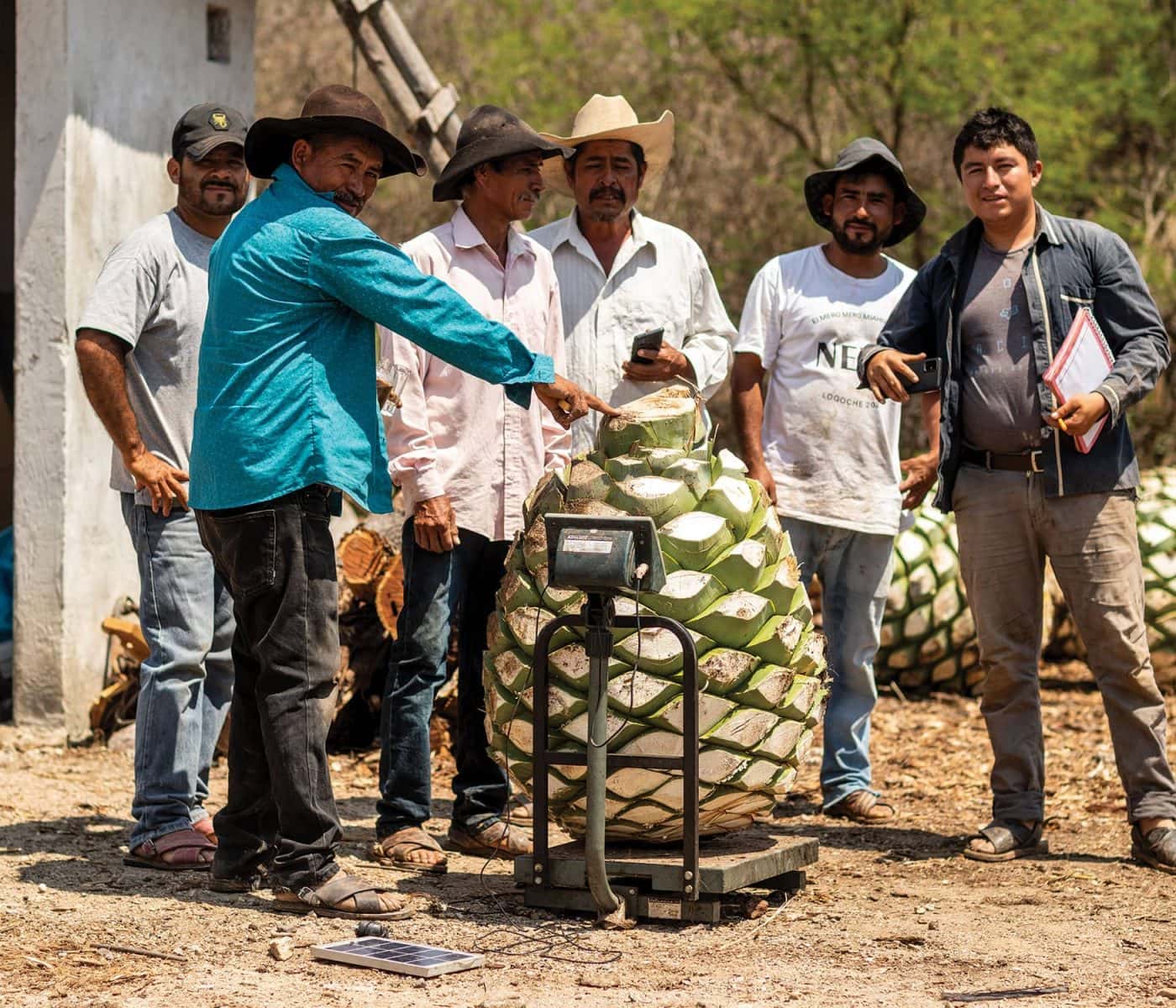 How to Find the Best Mezcal in Mexico City - Imbibe Magazine