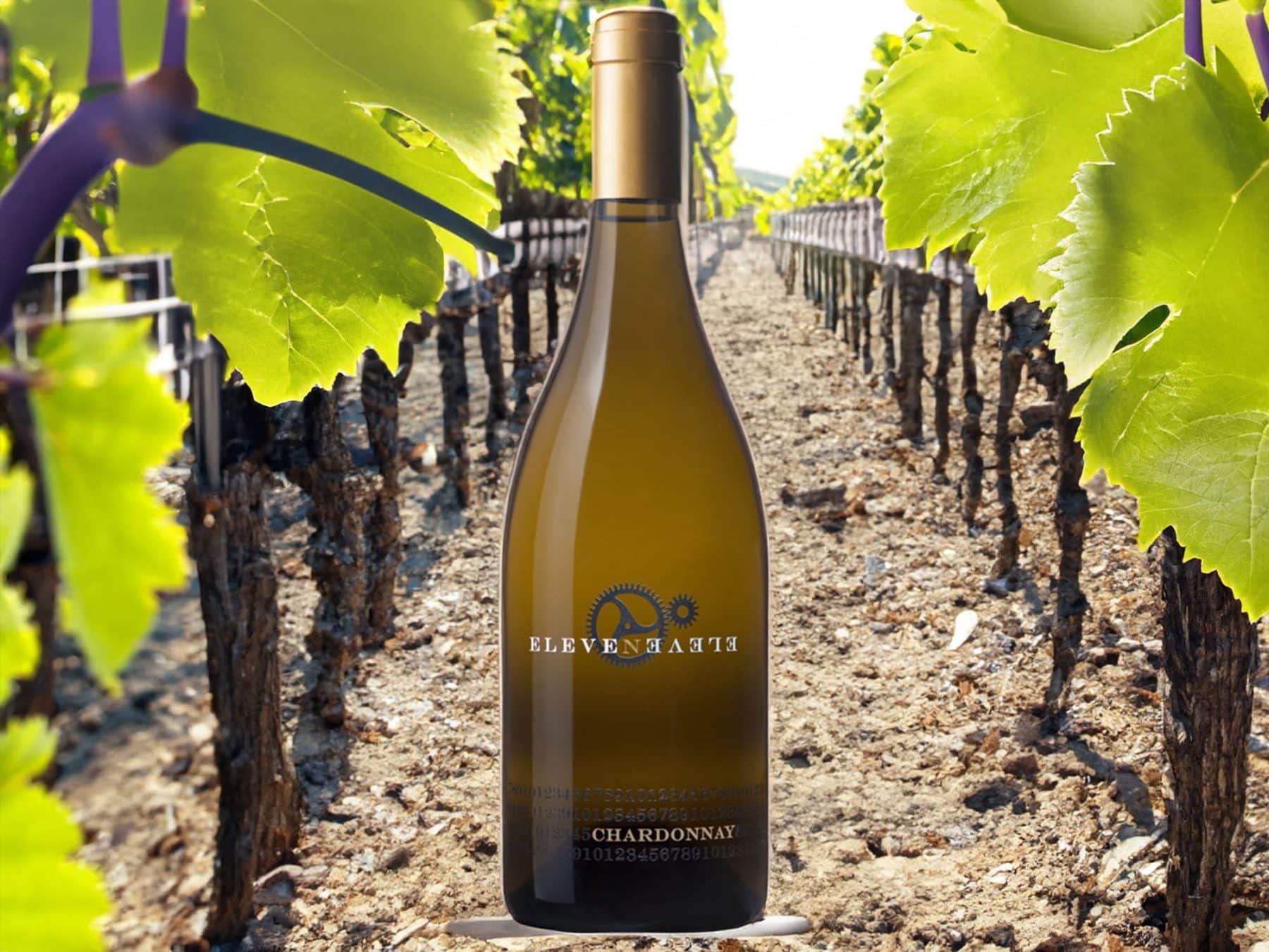 Drink of the Week: Eleven Eleven Dutton Ranch Chardonnay 2021 - Imbibe ...