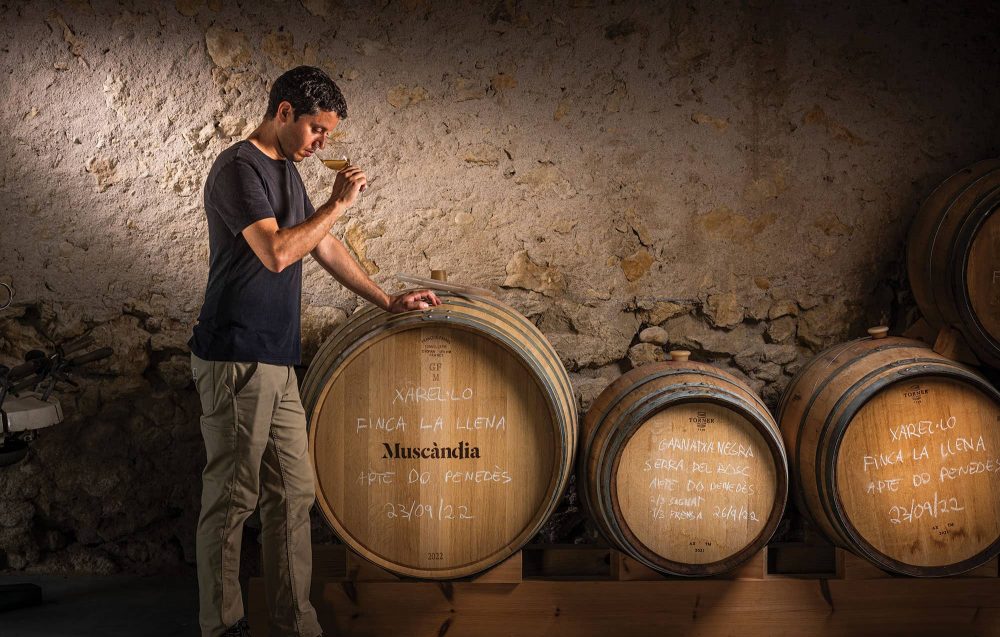 Cava Reclaims Its Identity and Charts a New Way Forward - Imbibe Magazine