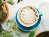 Where to Drink in Bellingham, Washington - Imbibe Magazine