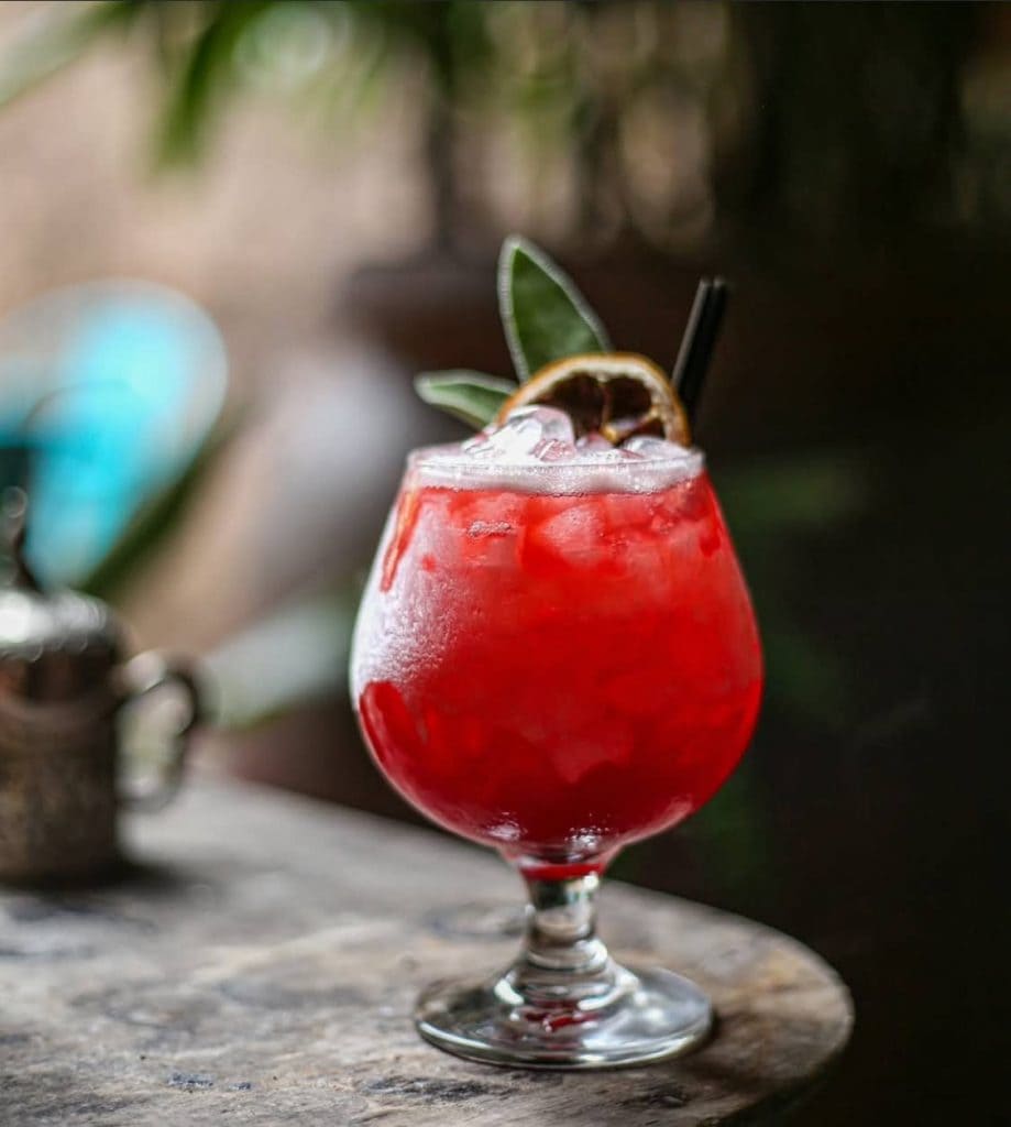The Return of the Bartender's Ketchup: Elderflower Liqueur - Imbibe ...