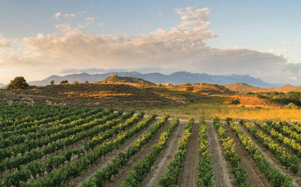 While Sticking Close to Tradition, Rioja Changes With the Times ...